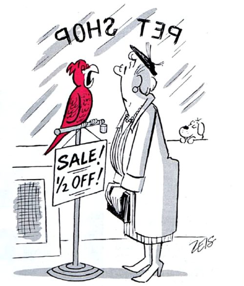 Cartoons: Bird Is the Word | The Saturday Evening Post