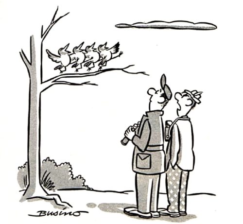 Cartoons: Bird Is the Word | The Saturday Evening Post