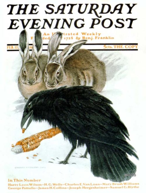 Rabbits and Crow | The Saturday Evening Post