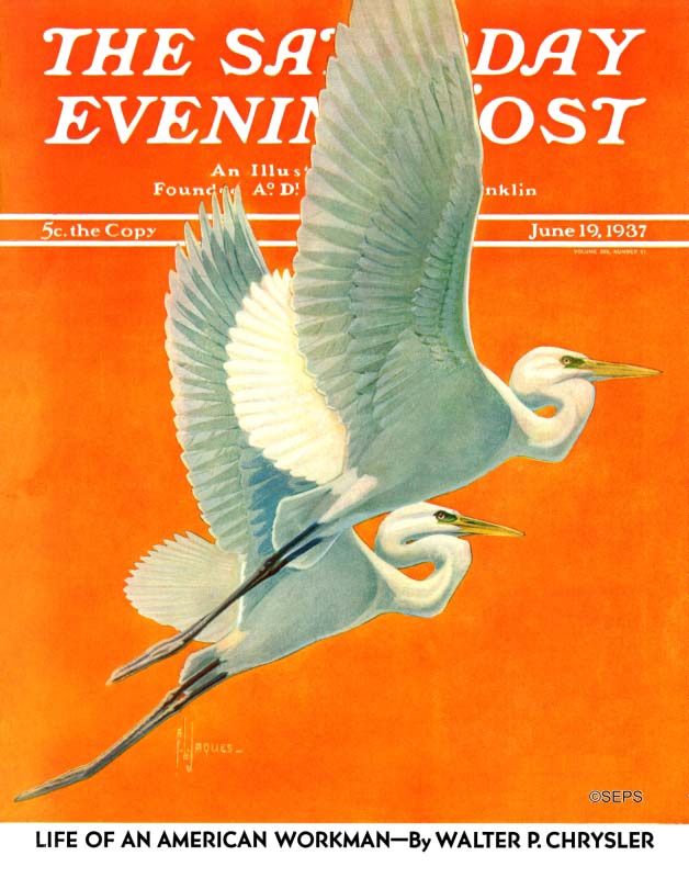 Francis Lee Jaques Archives | The Saturday Evening Post Francis Lee Jaques Archives | The Saturday Evening Post