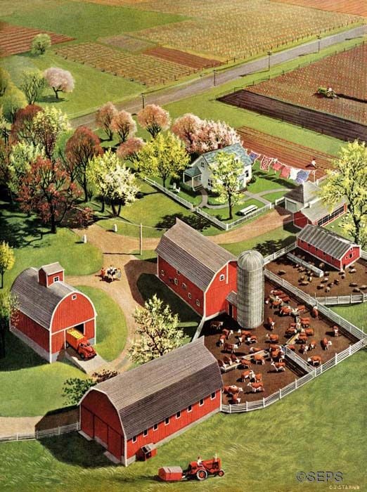 Aerial View of Farm | The Saturday Evening Post