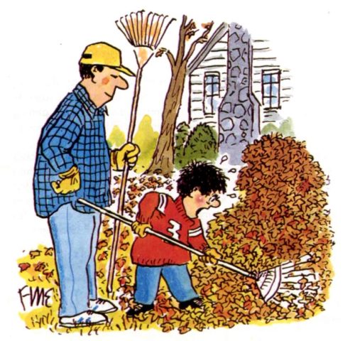 Cartoons: Fall Tomfoolery | The Saturday Evening Post