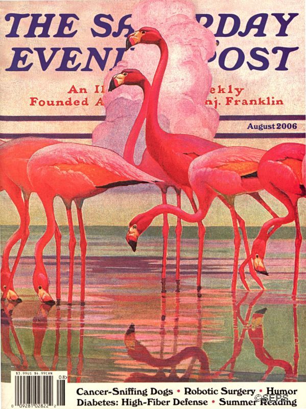Francis Lee Jaques Archives | The Saturday Evening Post Francis Lee Jaques Archives | The Saturday Evening Post