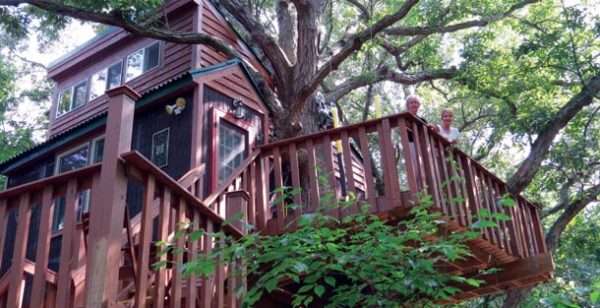 Nights in a Tree House | The Saturday Evening Post