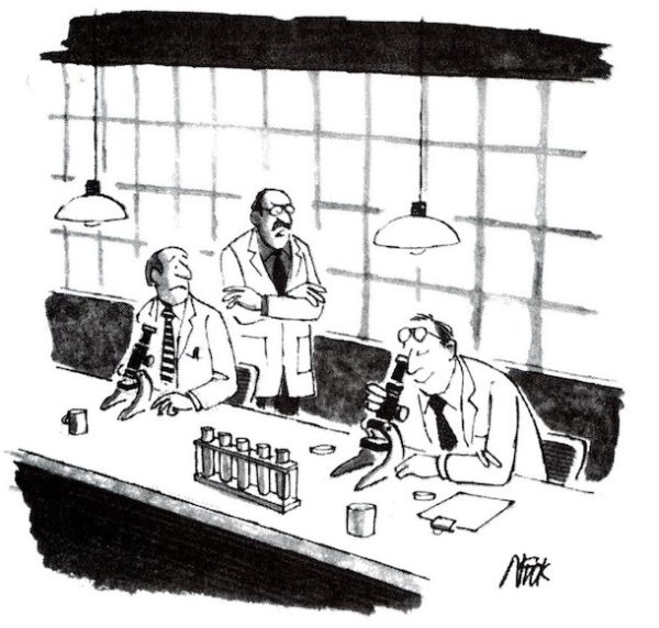 Cartoons: Levity in the Lab | The Saturday Evening Post