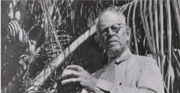 David Fairchild, America's Top Food Spy | The Saturday Evening Post