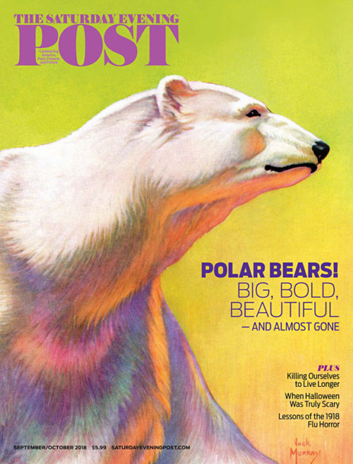 Jack Murray Archives | The Saturday Evening Post