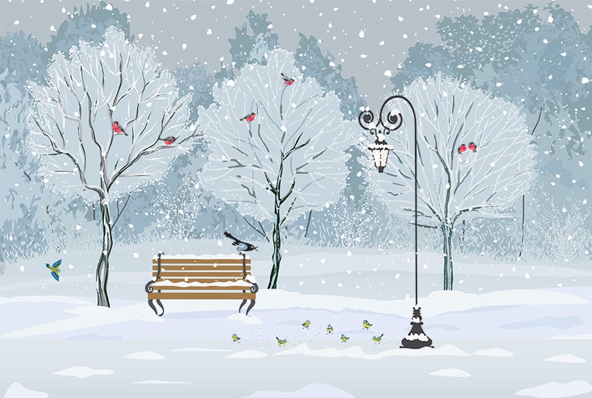 News of the Week: Winter Scenes, Nasal Rangers, and the Great American ...