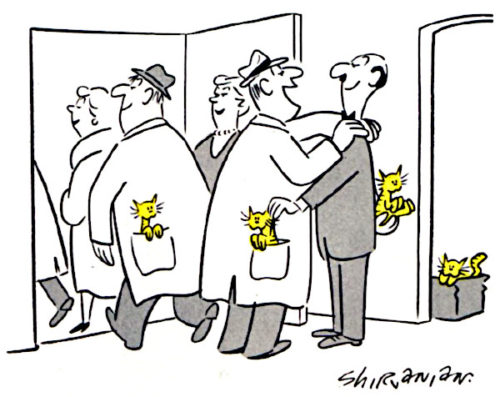 Cartoons: Cat People | The Saturday Evening Post