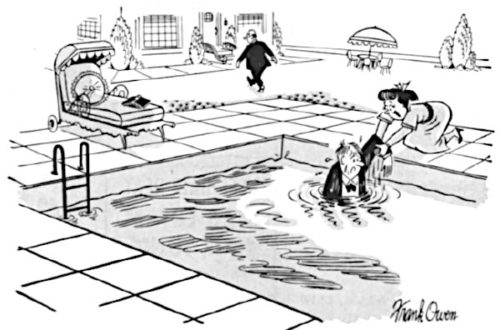 Cartoons: Stay Cool in the Pool | The Saturday Evening Post