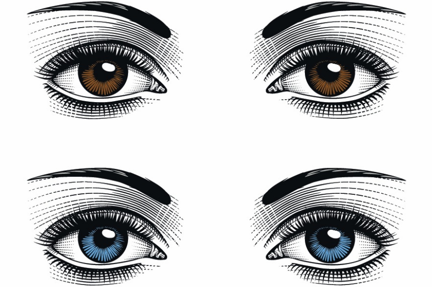 Did We Fail the Blue Eyes, Brown Eyes Experiment—Or Did It Fail Us ...