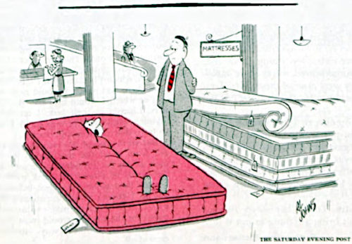 Cartoons: To the Mattresses | The Saturday Evening Post