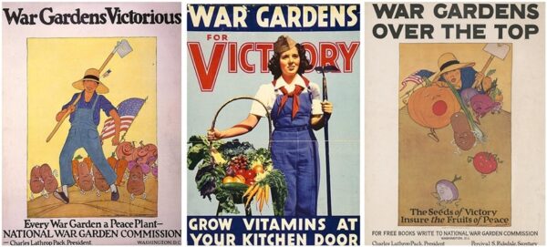 Our Better Nature: Start Your Own Victory Garden | The Saturday Evening ...