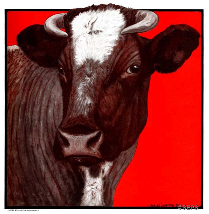 Brown Cow | The Saturday Evening Post