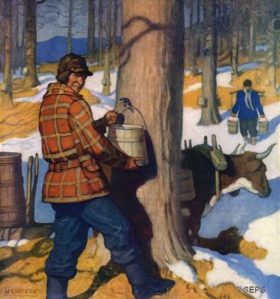Gathering Maple Syrup | The Saturday Evening Post
