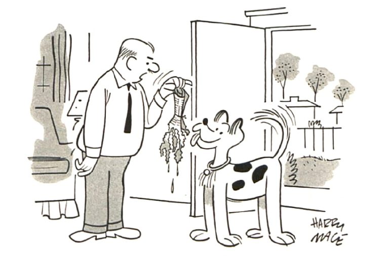 The Most Popular Cartoons of 2021 | The Saturday Evening Post