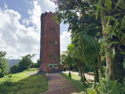 Get Tropical in Puerto Rico’s El Yunque Rainforest | The Saturday ...