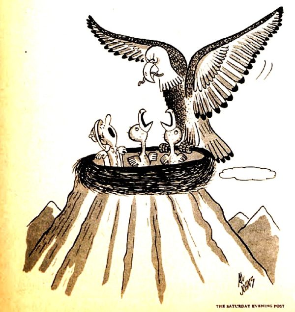 Cartoons: Mountaineering Madness | The Saturday Evening Post