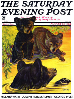 Artist Jack Murray: The Call of the Wild | The Saturday Evening Post
