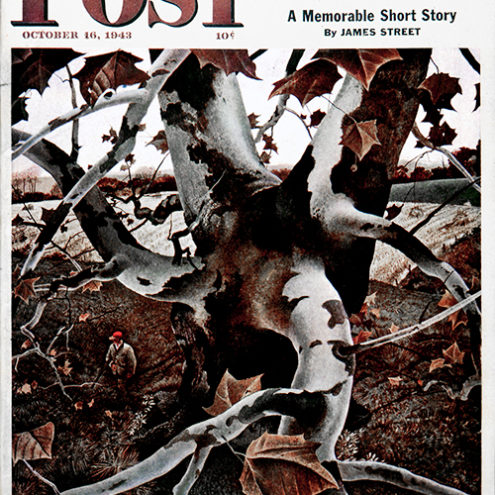 Wyeth Family Genius | The Saturday Evening Post