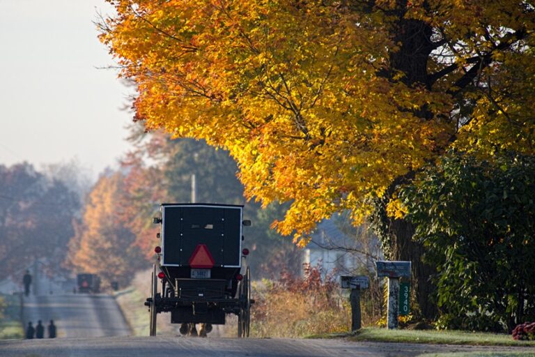 The Amish Communities of Indiana’s Heritage Trail | The Saturday ...