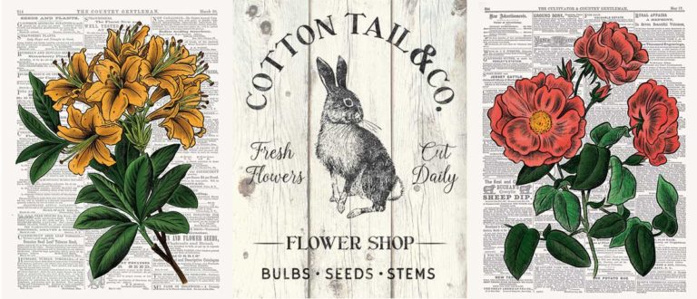 Cautiously Optimistic | The Saturday Evening Post