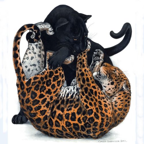 Charles Bull Archives | The Saturday Evening Post