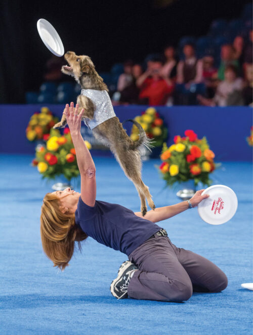 Going to the Dogs | The Saturday Evening Post