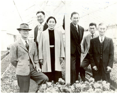 Women’s Work: Give Her Liberty — Mitsuye Endo and the Fight Against ...