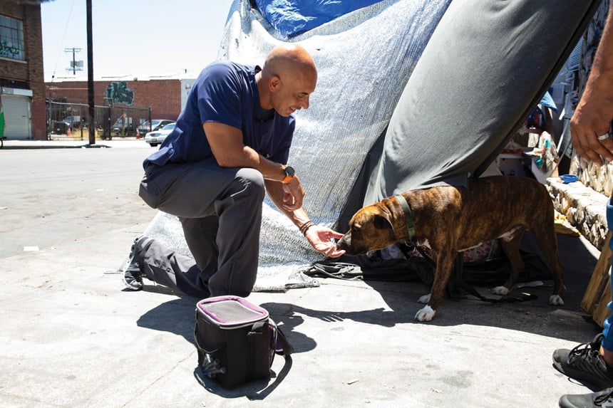 The Street Vet: Helping the Homeless and Their Pets | The Saturday ...