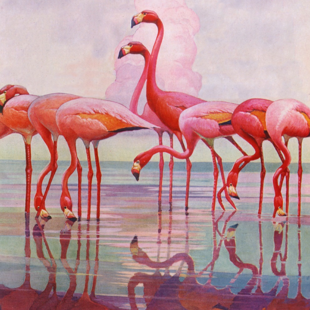Francis Lee Jaques Archives | The Saturday Evening Post