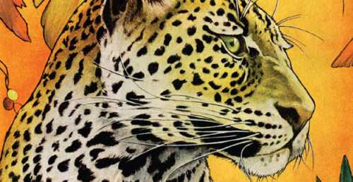 Artist Jack Murray: The Call of the Wild | The Saturday Evening Post