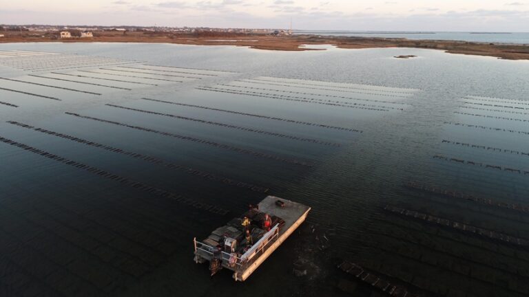 9 Unique American Farms | The Saturday Evening Post