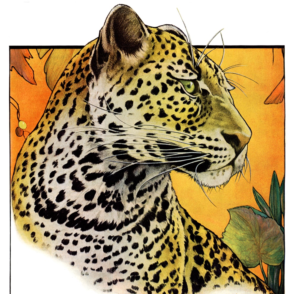 Jack Murray Archives | The Saturday Evening Post