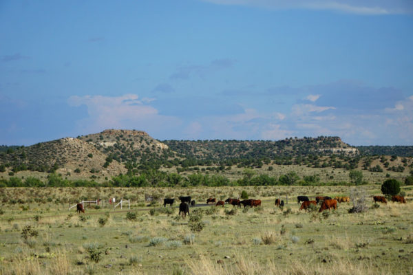 The Oklahoma Panhandle: Flat Out Fun | The Saturday Evening Post
