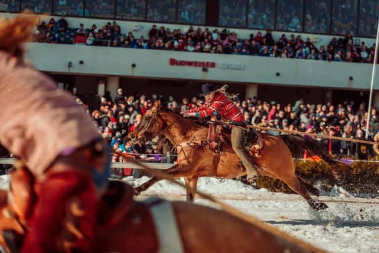 Discover Skijoring (and Maybe Even Give It a Try) at These Winter Races ...