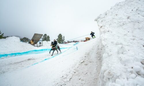 Discover Skijoring (and Maybe Even Give It a Try) at These Winter Races ...