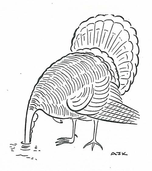 Cartoons: Let's Talk Turkey | The Saturday Evening Post