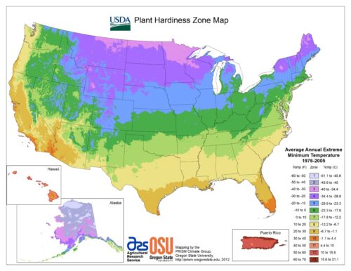 Our Better Nature: Get More Growing Season from Your Vegetable Garden ...
