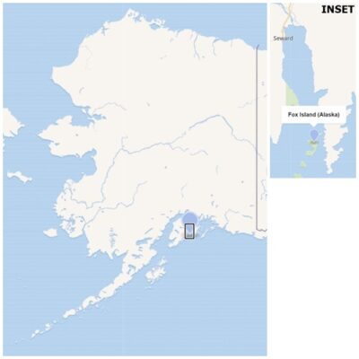 Discovering the Concept of “Quiet Adventure” in Alaska | The Saturday ...