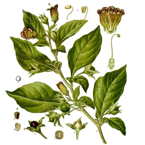 Our Better Nature Archives | The Saturday Evening Post