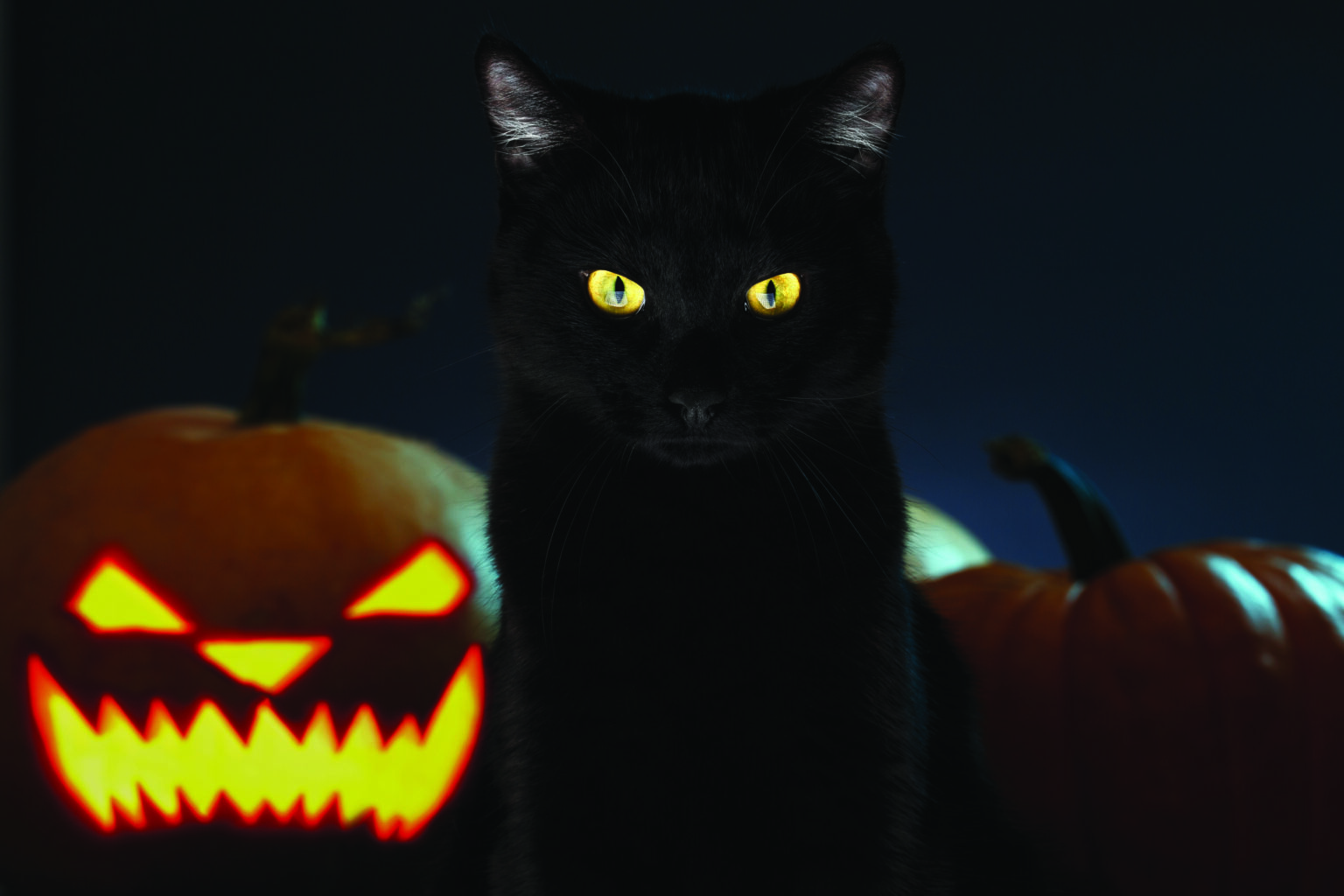 Scare Masters | The Saturday Evening Post