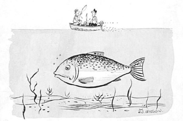 Cartoons: Fishing Fun | The Saturday Evening Post