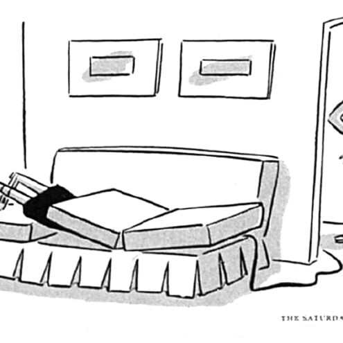 Cartoons: Stating the Obvious | The Saturday Evening Post