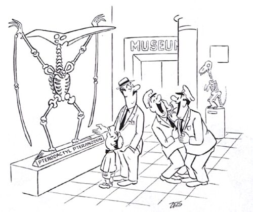 Cartoons: Museum Madness | The Saturday Evening Post