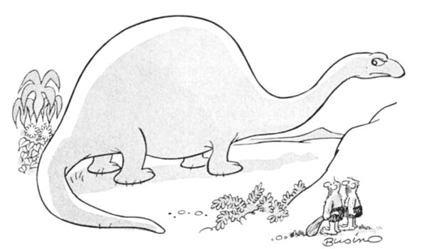 Cartoons: Caveman Comedy | The Saturday Evening Post