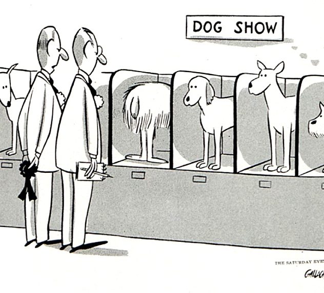 Humor | The Saturday Evening Post