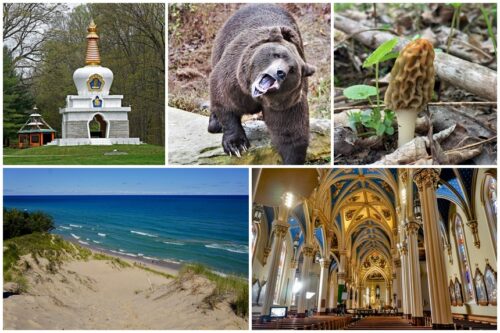 Elvis Would Be Turning 90 in 2025. Here’s What It’s Like to Visit His ...