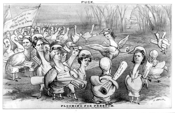 Women’s Work: More than Seneca Falls — The Long Fight for Women’s ...