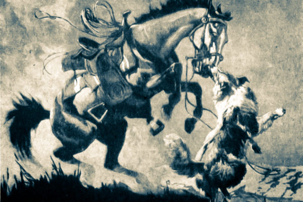 “The Miracle of Treve” by Albert Payson Terhune | The Saturday Evening Post